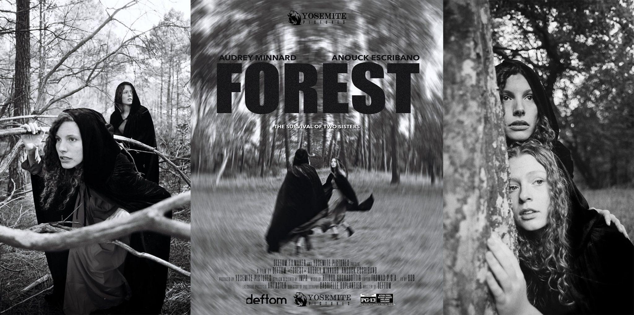Série-FOREST - Artistikrezo