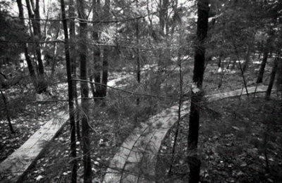 Image Cyrus Field - Artistikrezo